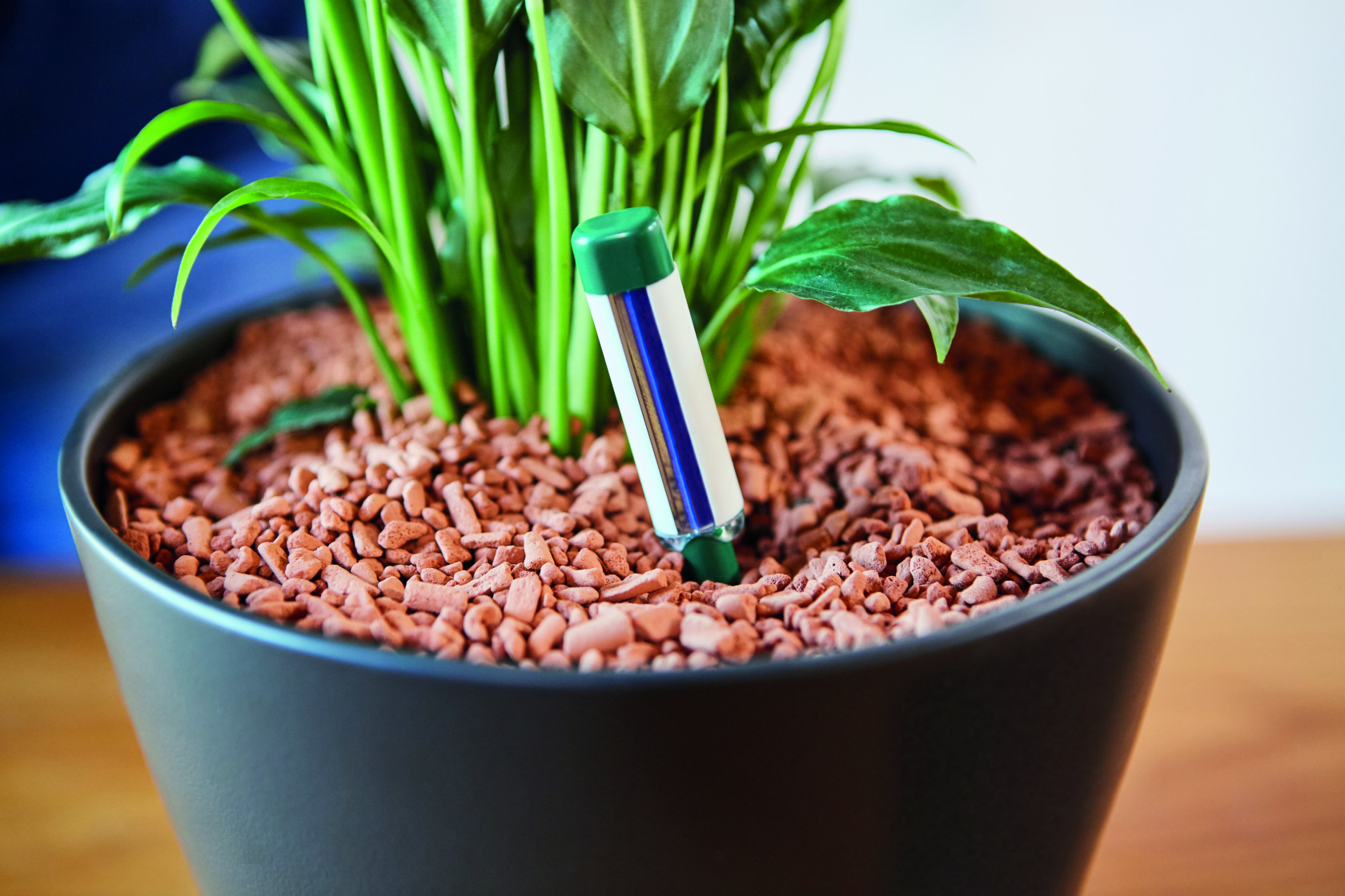 Seramis System - Ecoflora